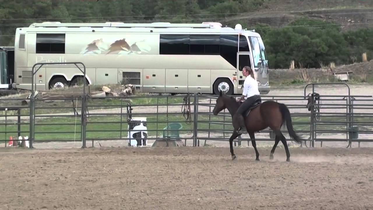 Parelli Instruktor Sarah Brummer Schweiz_Gigi Journey to Level 4 ...