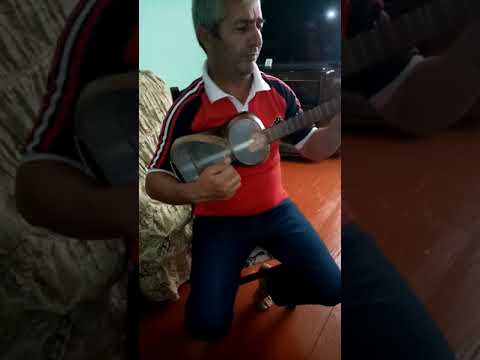 Sərxan Abdullayevdən  tar ifası