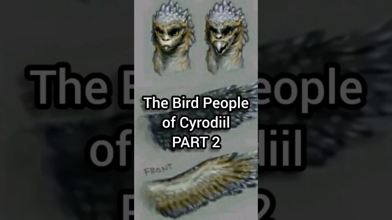 The Bird People of Cyrodiil... PART 2 #tes #lore #theelderscrolls # ...