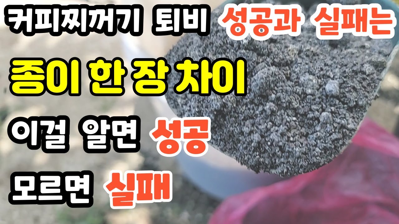 커피찌꺼기로 퇴비만들 때 성공과 실패는 바로 이것 때문에 커피찌꺼기퇴비 만들기 핵심노하우 커피찌꺼기 활용 방법 Youtube