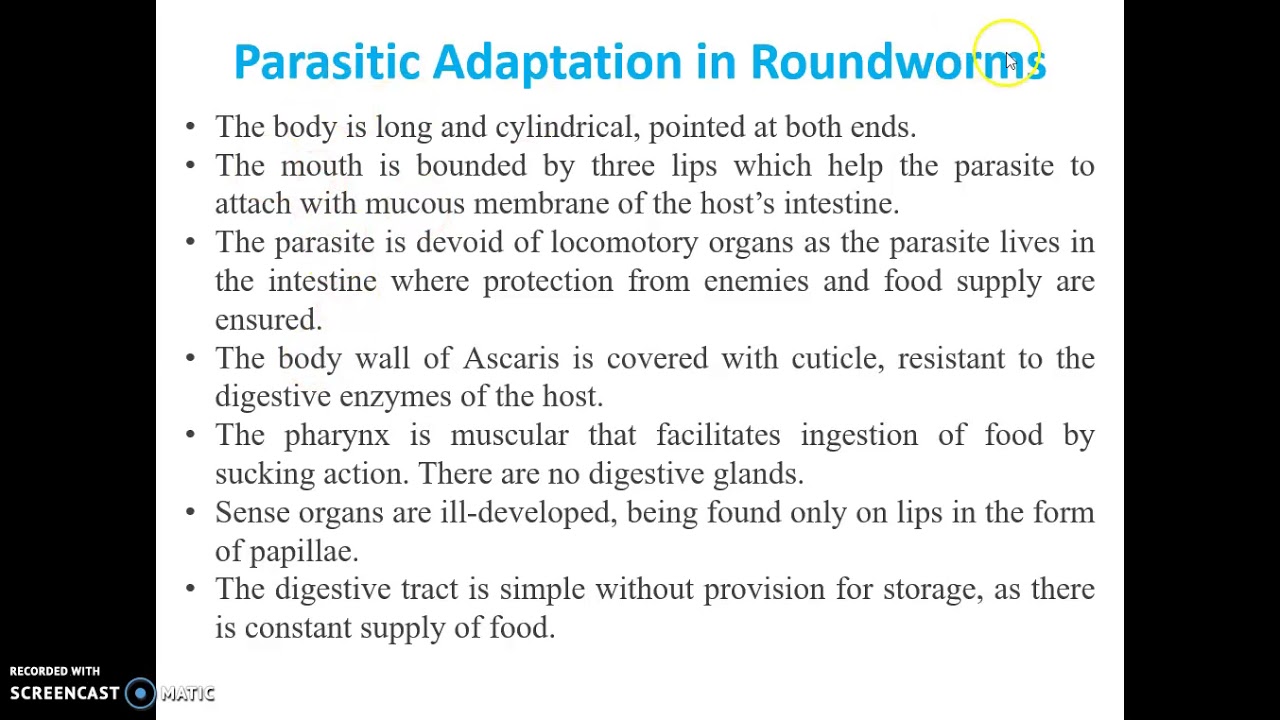 Parasitic adaptation in round worms - YouTube