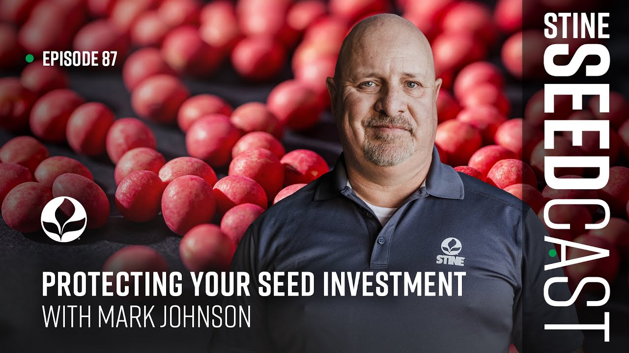 Protecting Your Seed Investment With Mark Johnson - YouTube