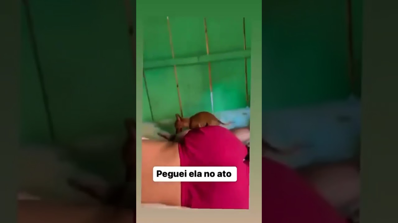 Pego No Fraga Youtube