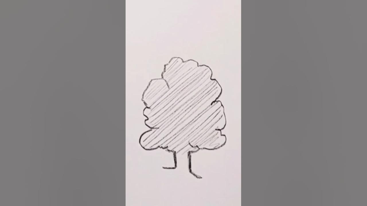 How to draw a maple tree step by step with easy fast way - YouTube