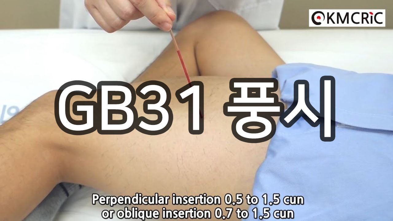 GB31 풍시 風市 Fengshi (Eng sub) - KMCRIC WHO Standard acupoint DB - YouTube