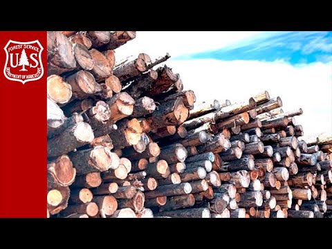 Ruby Valley Firewood Bank - YouTube