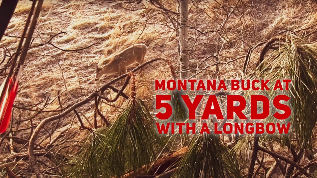 Montana Buck at 5 Yards With My Longbow - Hunting Roots - YouTube