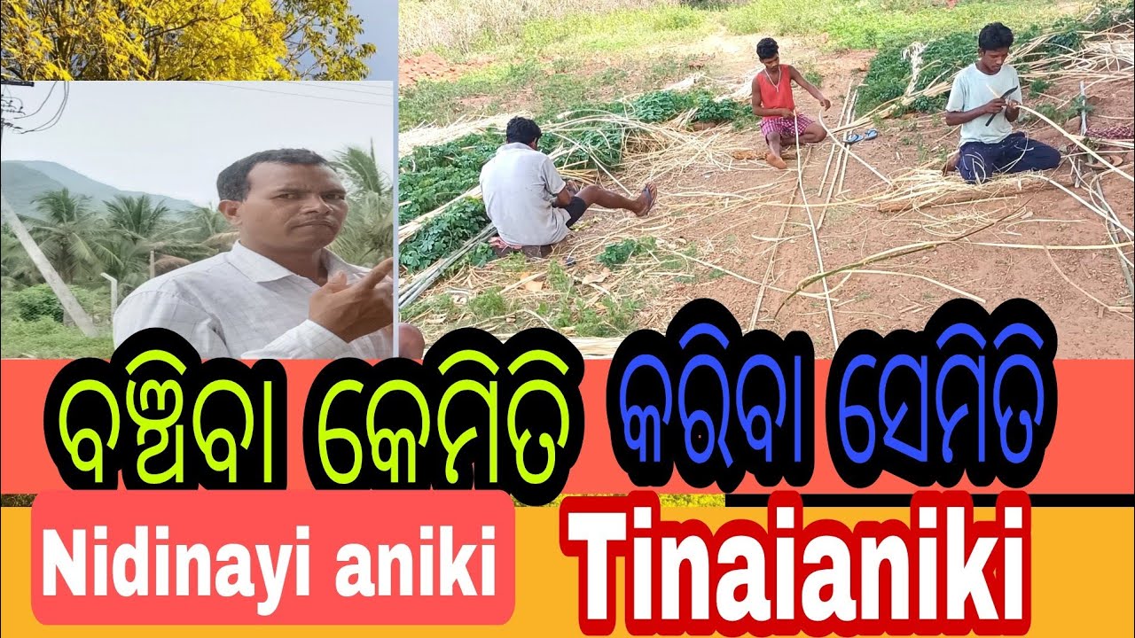 ବଞ୍ଚିବା କେମିତି । କରିବା ସେମିତି । Nidinayi Aniki l Tinai Aniki l How to ...
