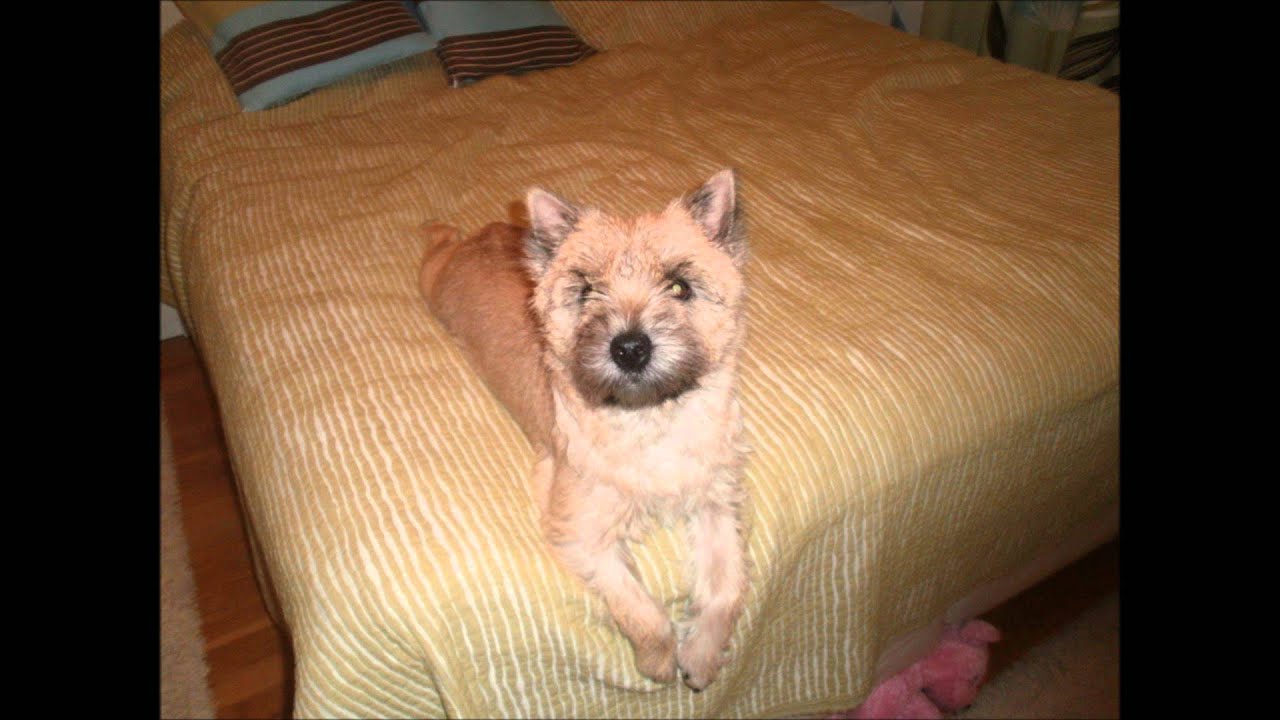 ♥Tiitu♥ - YouTube