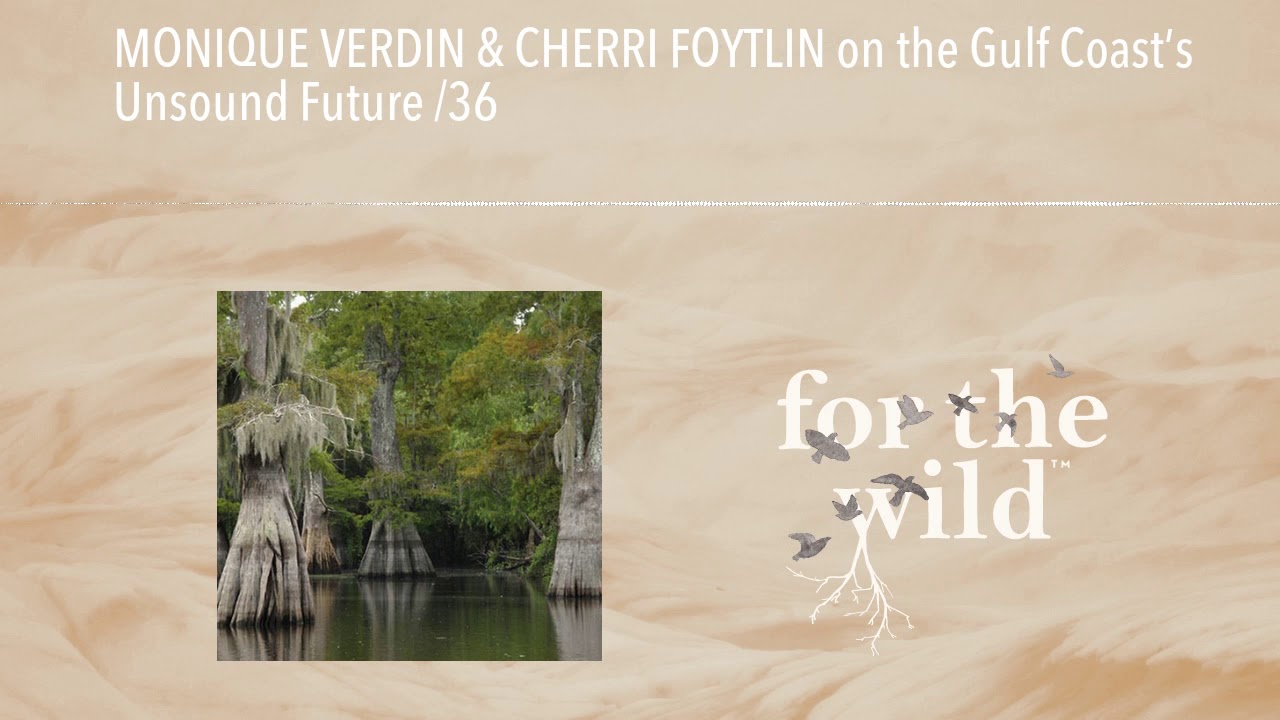 MONIQUE VERDIN & CHERRI FOYTLIN on the Gulf Coast’s Unsound Future /36 ...