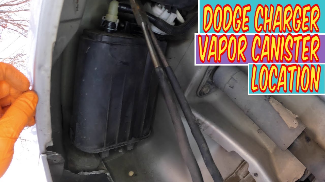 EVAP Vapor Canister Location on 2006-2023 Dodge Charger 🚗 - YouTube