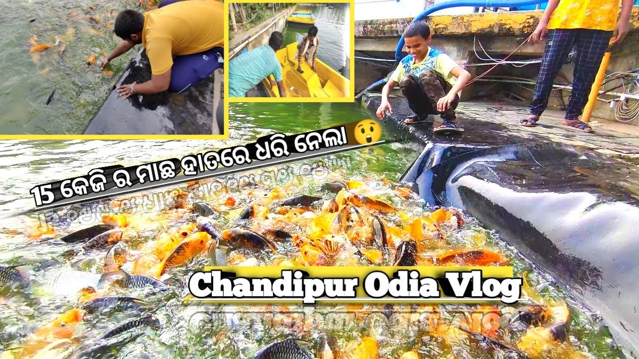 ଏ ବାଳ କେତେ ମାଛ ନେଇଗଲା 😲 ll Chandipur Odia Vlog ll Odia Vlogs ...