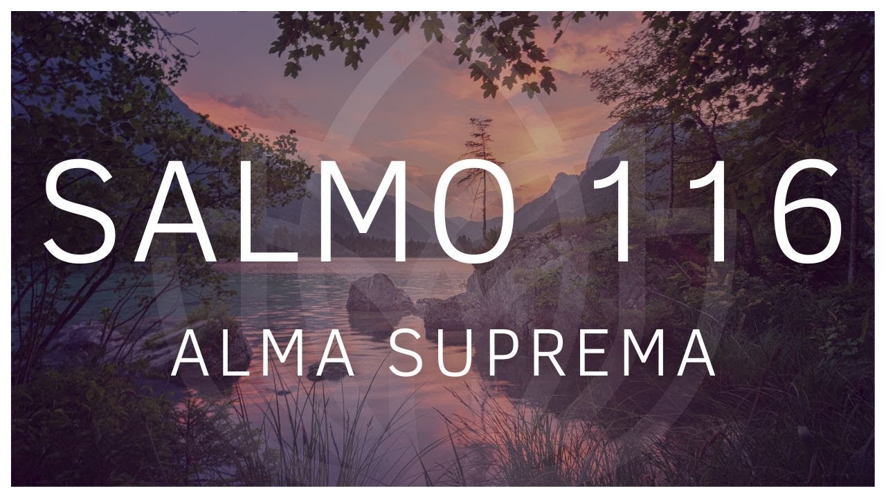 Salmo 116: Un canto de gratitud y fortaleza espiritual - YouTube