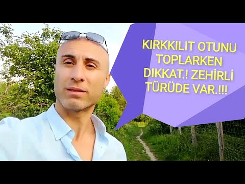 Silisyum dolu Kırkkilit, At kuyruğu OTU.Saç,Tırnak,Doku bağları ilacı.