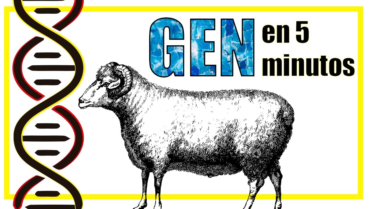 ¿Qué es un GEN? en menos de 5 minutos!!! - YouTube