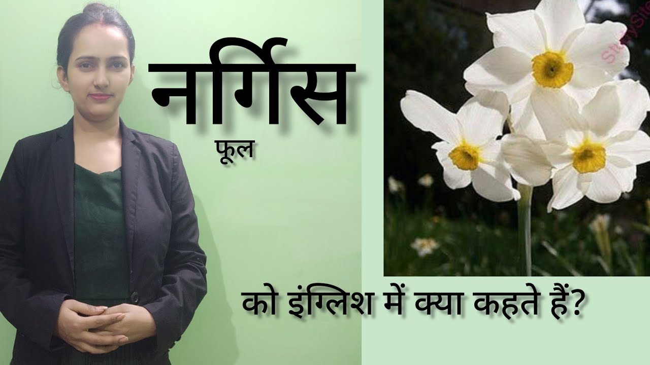 नर्गिस फूल को इंग्लिश में क्या कहते हैं ll Nargis Phool ko English me ...