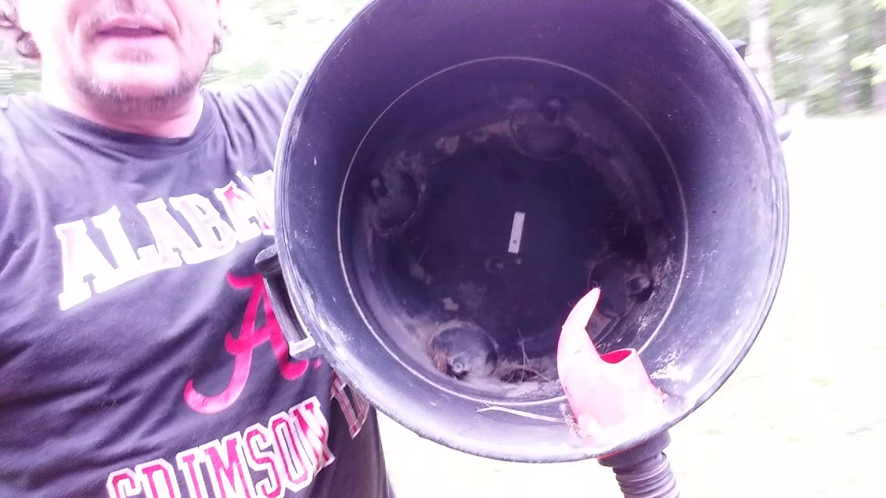 Dru Richey - Carpenter Bee Enterprise - YouTube