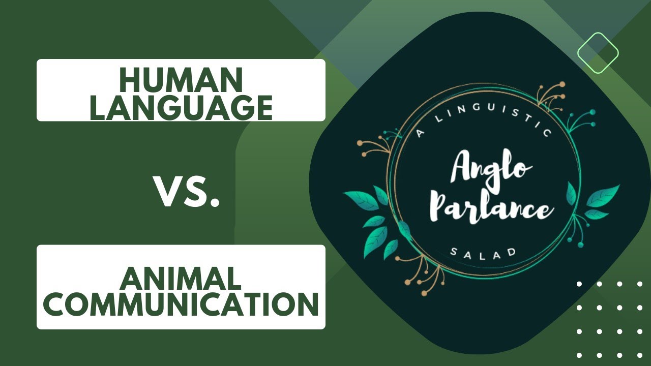 Human Language Vs. Animal Communication | Language and Linguistics ...