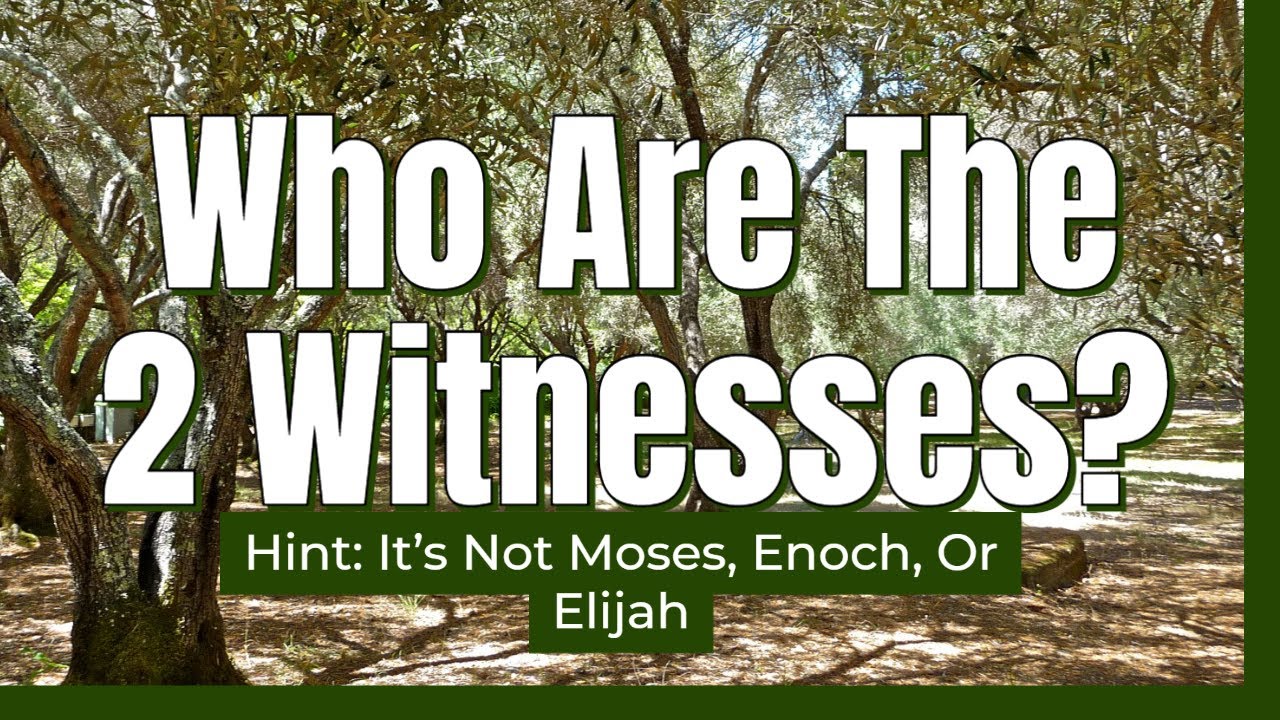 Who Are The 2 Witnesses In Revelation 11? | It’s Not Moses, Enoch, Or ...