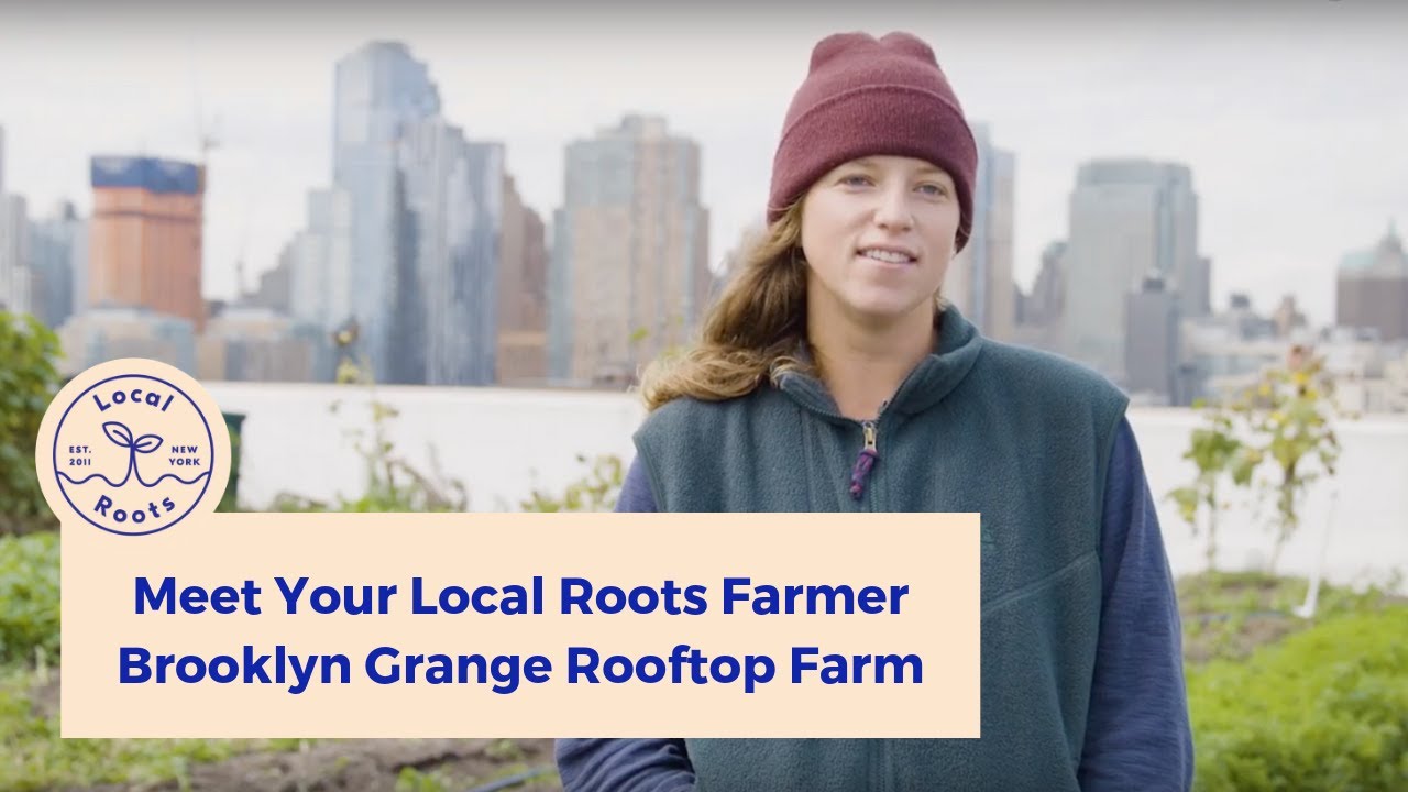 Meet Your Farmer: Brooklyn Grange, the world's largest rooftop urban ...