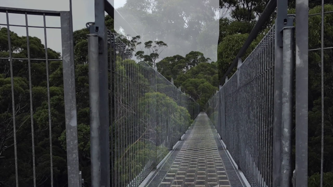 Day 1 - from Perth to Albany + Tree Top Walk in Denmark - YouTube