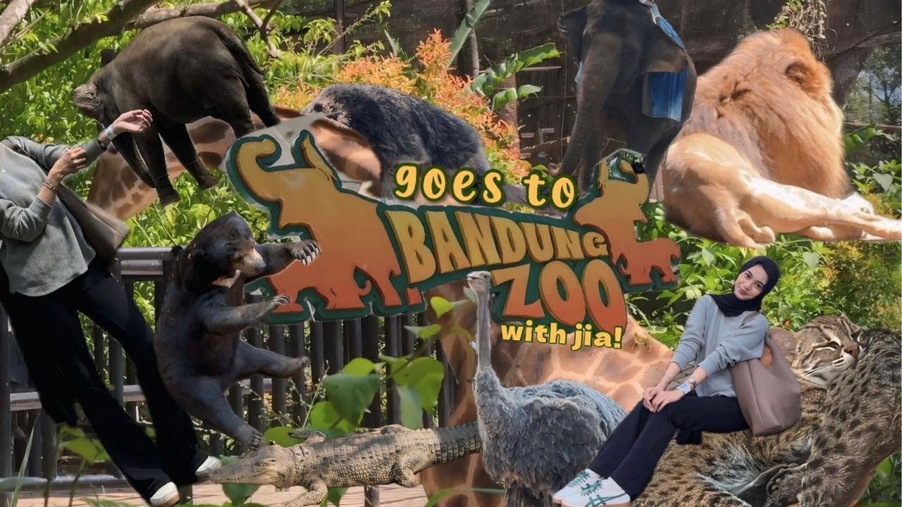 Goes to Bandung Zoo with Jia! - YouTube