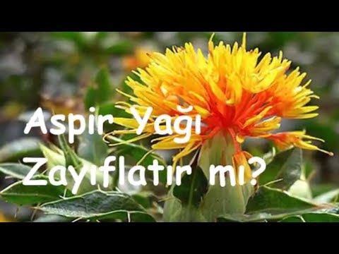 Aspir Yağı Zayıflatır mı