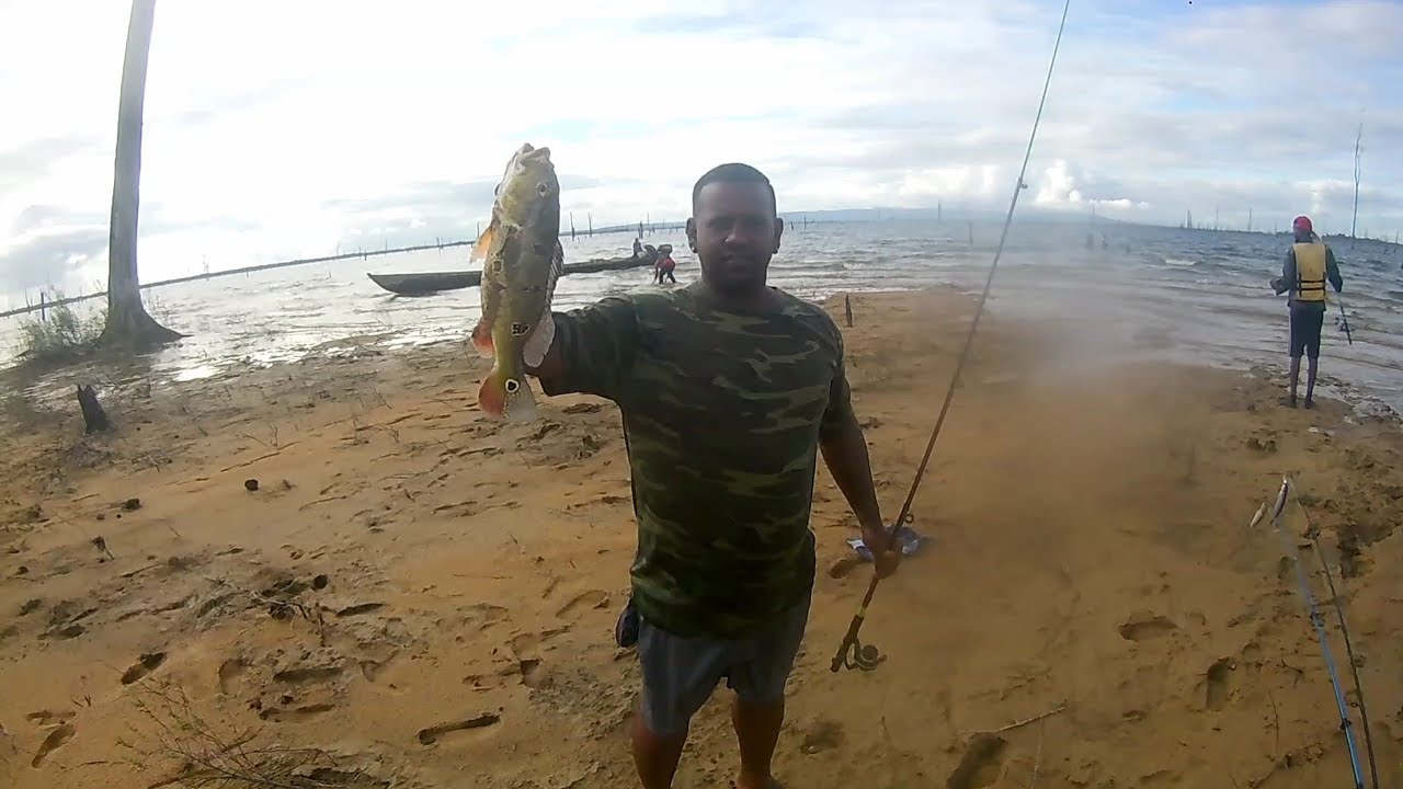 toekoenarie vissen in het Stuwmeer Suriname - YouTube