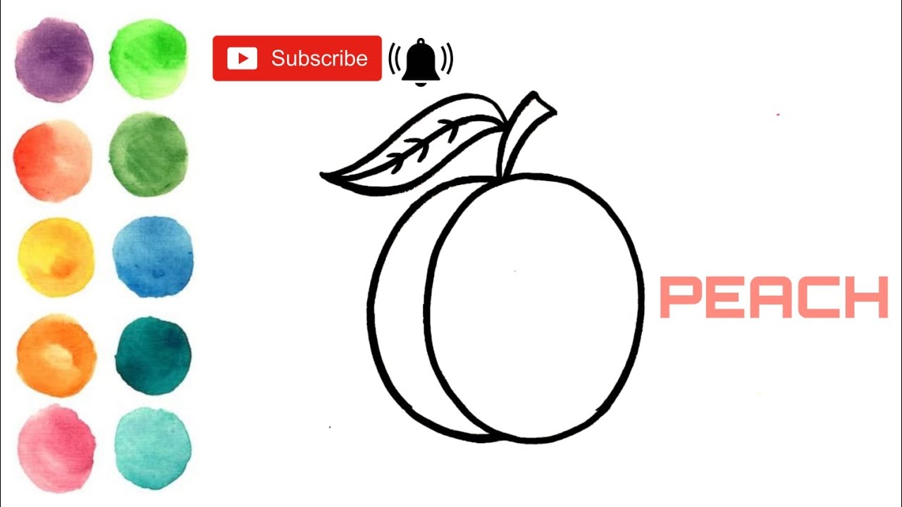 How to Draw a Peach | Easy & Simple Drawing of a Peach For Everyone ...