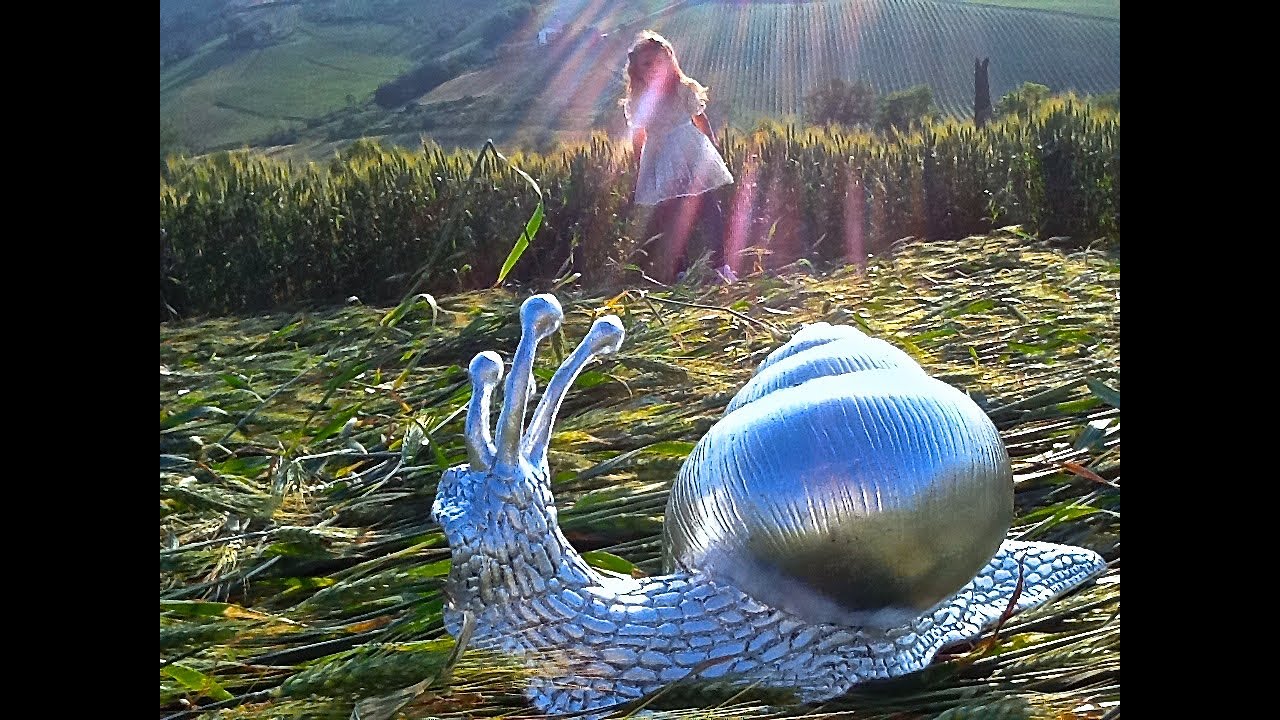 THE SILVER SNAILS - TEMPLE PRINCESS [OFFICIAL LYRIC VIDEO] - YouTube