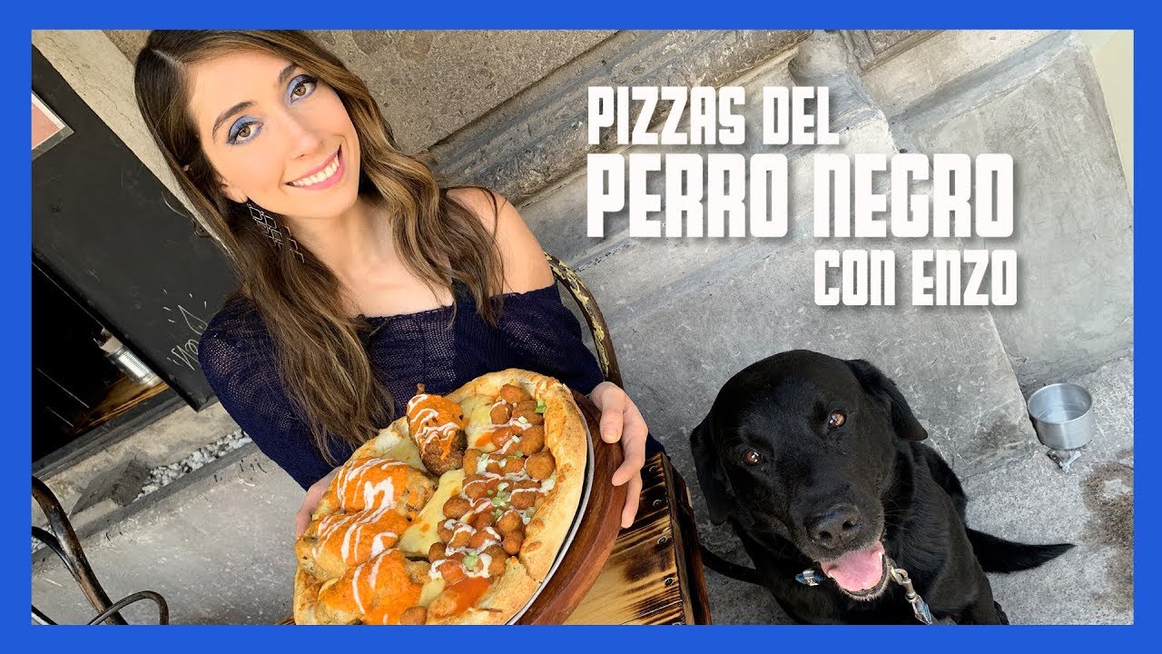 Pizzas del PERRO NEGRO / Ruta PET FRIENDLY con Enzo 🐶 💕/ Ale Toledano ...
