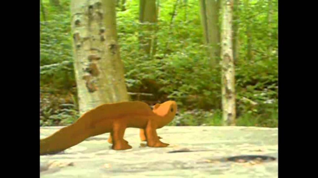 Lizard Green Screen Test - YouTube