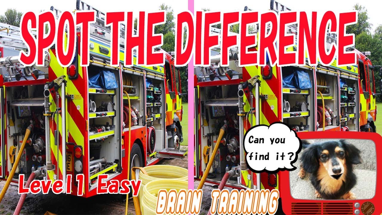 【Spot the difference】＃44 “Brain Games” World picture Puzzles Level 1 ...