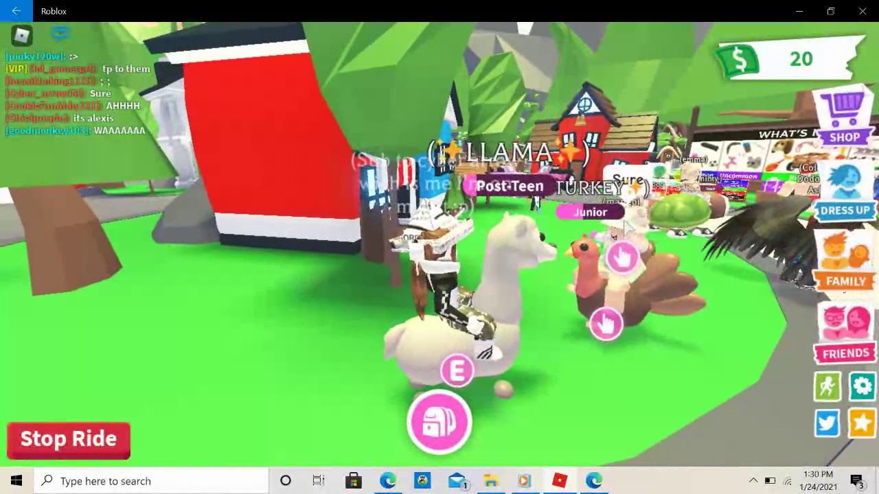 I TRADED A LLAMA FOR A FLY RIDE TURKEY IN ADOPT ME - YouTube