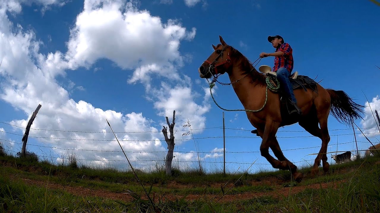 Beautiful Horse Riding with GoPro Hero 4 Black " HD" - YouTube
