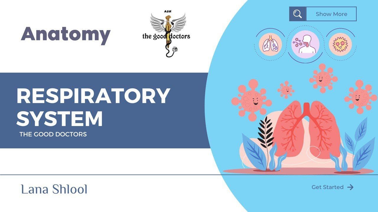 Lecture 3 - Larynx : Anatomy (RS) - YouTube