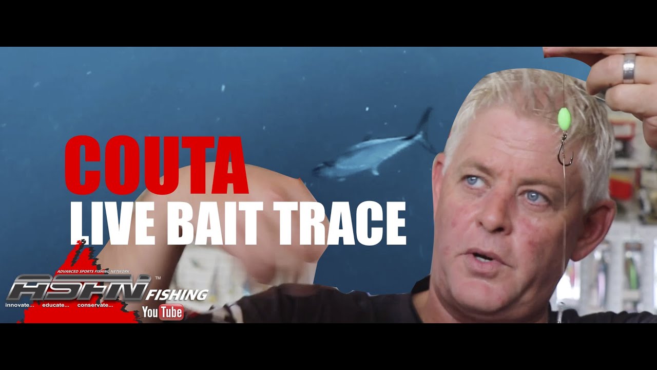 Couta Live Bait Trace | Deep Sea Traces | ASFN Baits & Traces - YouTube