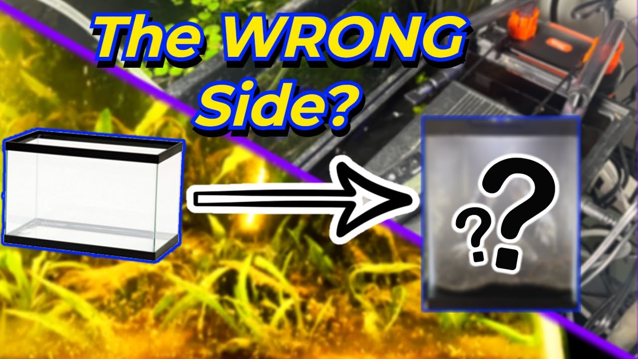 Aquascaping a Sideways 5 Gallon Tank: Breaking Rules for Small Spaces ...