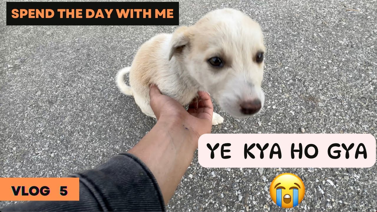 Aaayein…? Ho Gya | Sir Ko Bnd Kardiye | Ye Kya Ho gya Cricket Me 🏏 ...