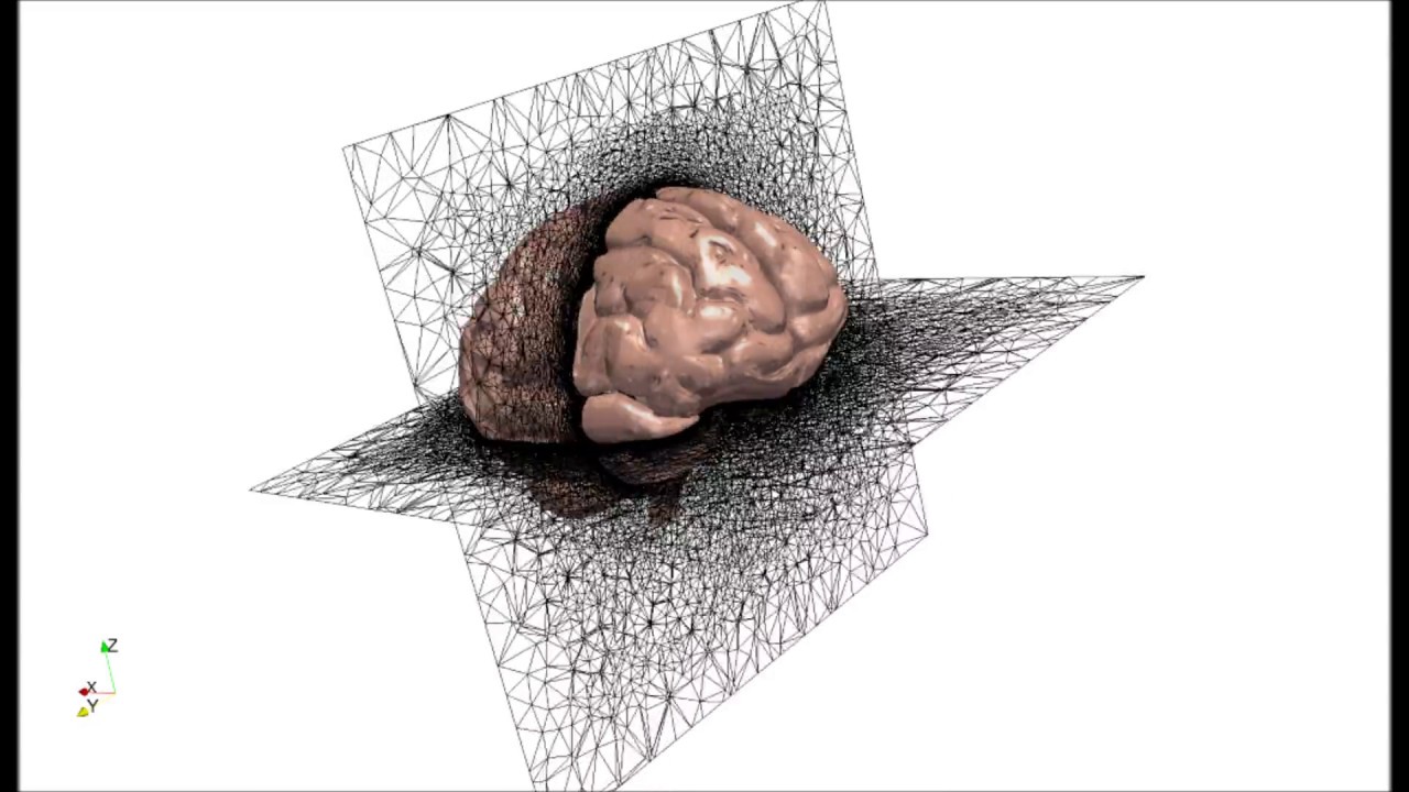 Meshing a Brain with Boundary Layer - YouTube