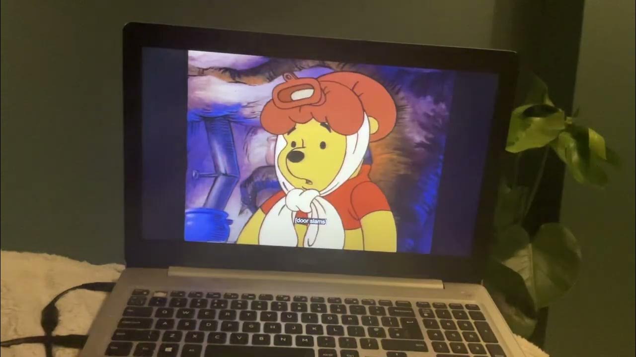 The New Adventures Of Winnie The Pooh The Wishing Bear Winnie The Pooh & Friends Cheered ...