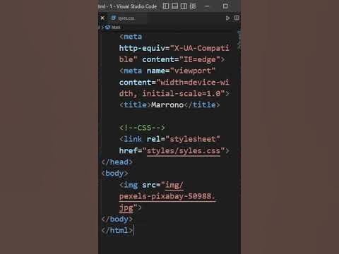 Grayscale Hover Effect | CSS Tutorial #shorts - YouTube