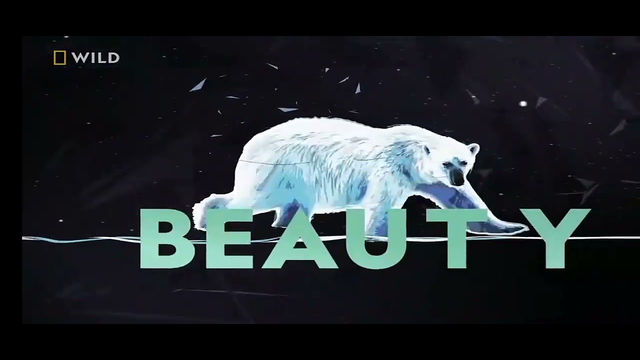 National Geographic Wild (Asia) Ident Celebrate Nature (1) (From ...