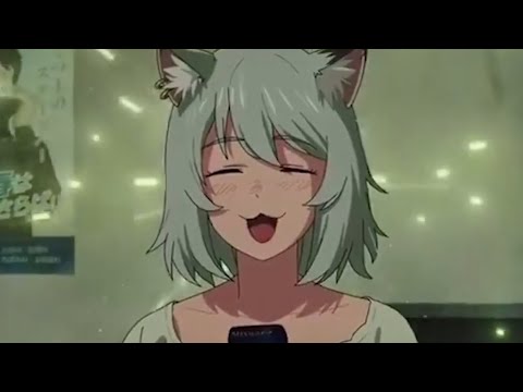 Chainsmoker cat - Perfect Pack