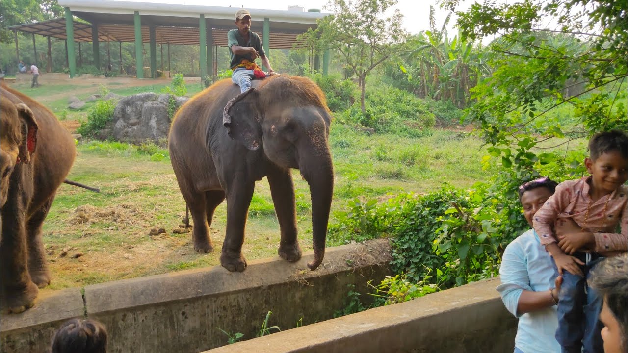 nandankanan zoo Puri tour - YouTube