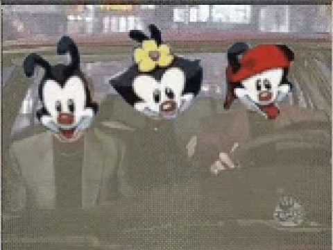 What Is Animaniacs? - YouTube