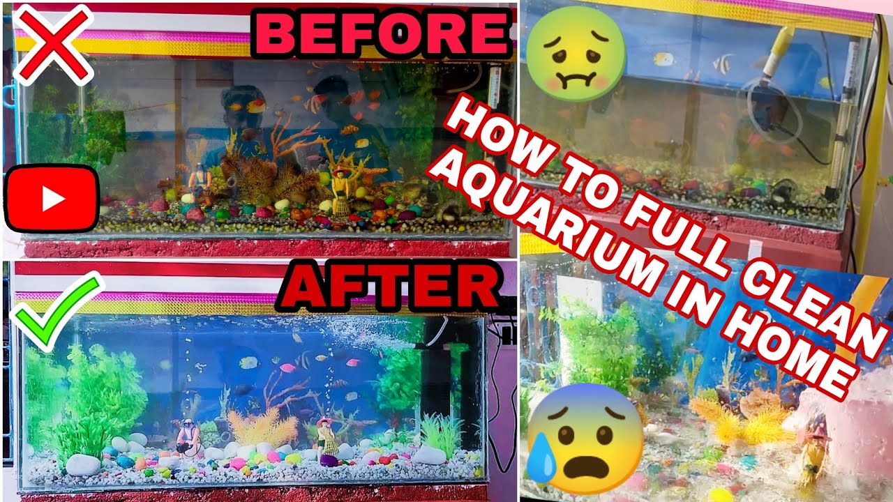 How to Clean Aquarium at Home| How to Full Clear Fish Tank| Aquarium ...