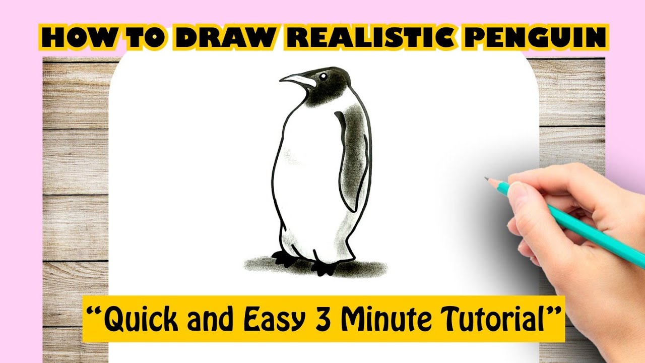 Creating Realistic Penguin: Drawing Tips and Tricks - YouTube