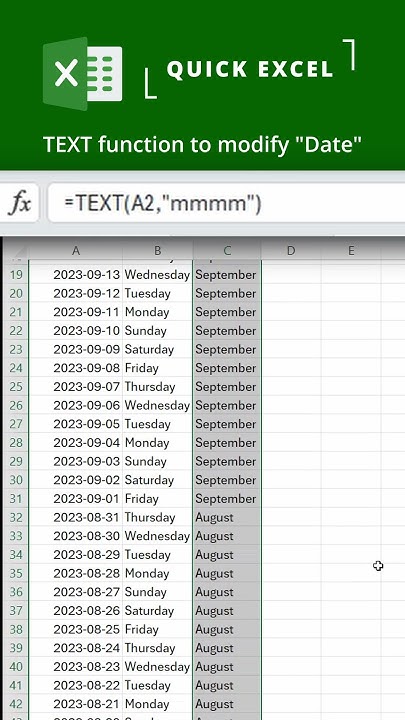 Excel Job Interview Tips Day Month Year From Date With Text Function Exceltips Excel