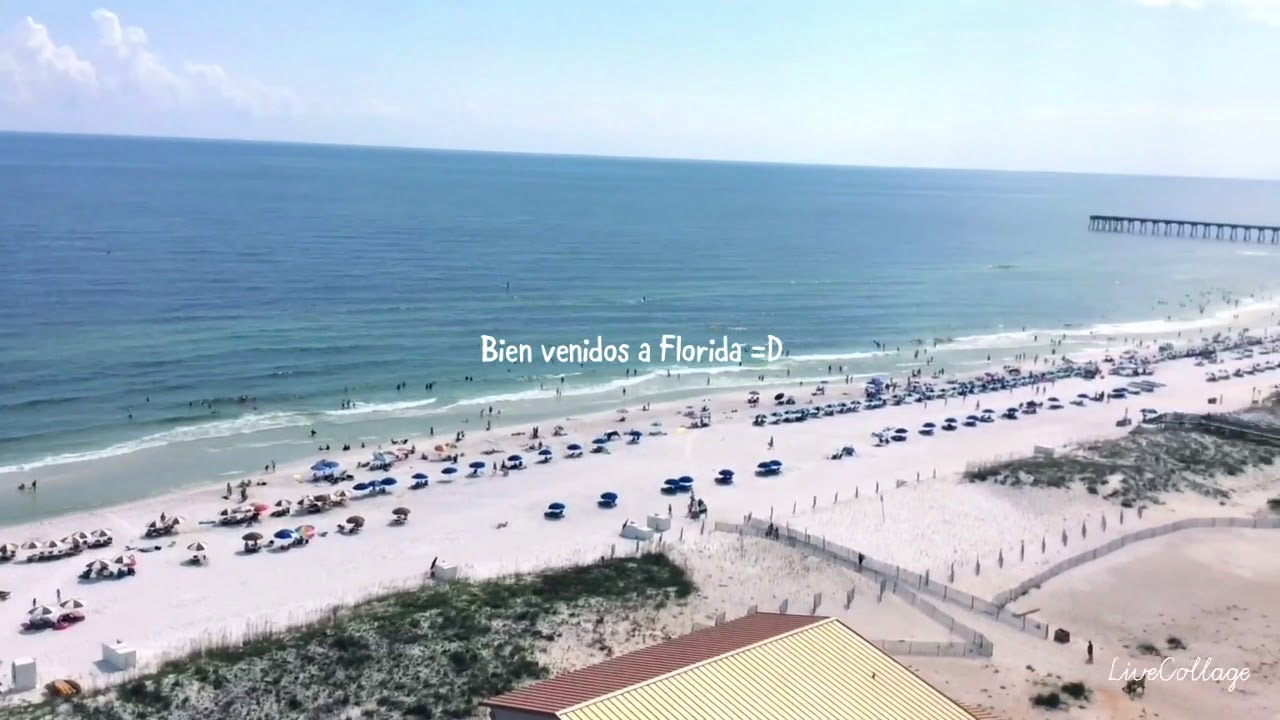 [Trip Life] Esto es Florida - YouTube